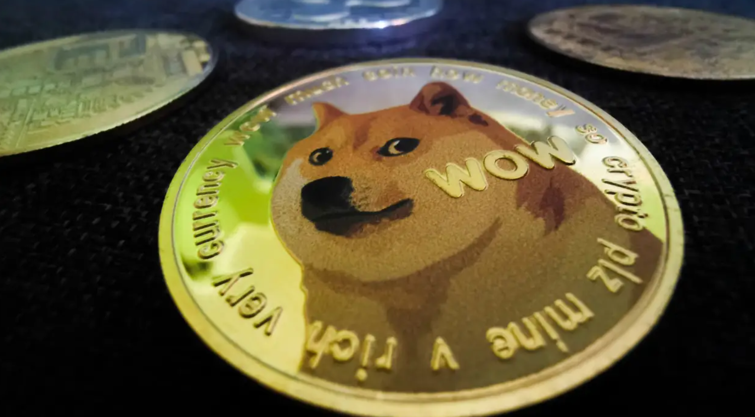 زيادة نشاط وحجم تداول عملة الدوج كوين (DOGE): هل هناك شيء كبير قادم ...